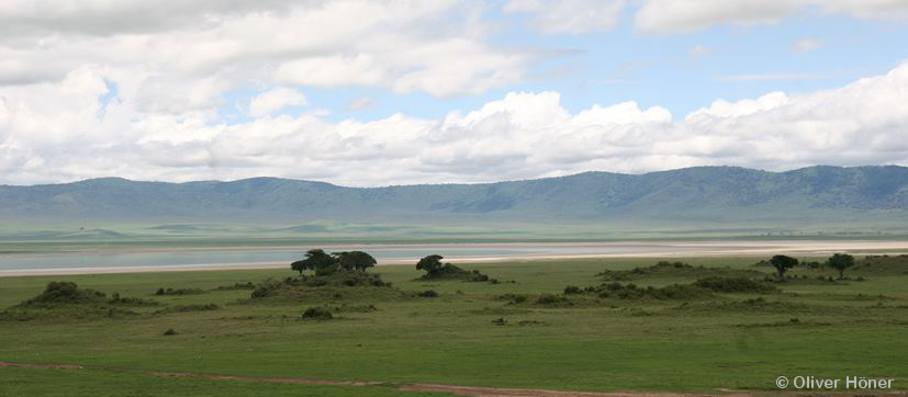 Ngorongoro Hyena Project